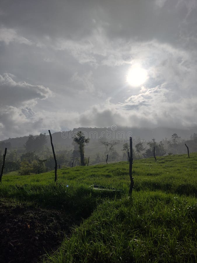 A good Day farm happy stock image. Image of cool, ggod - 247804515