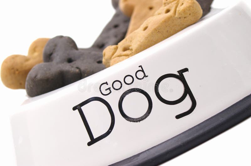 Good Dog Food stock photo. Image of pampered, nutrients - 2620000