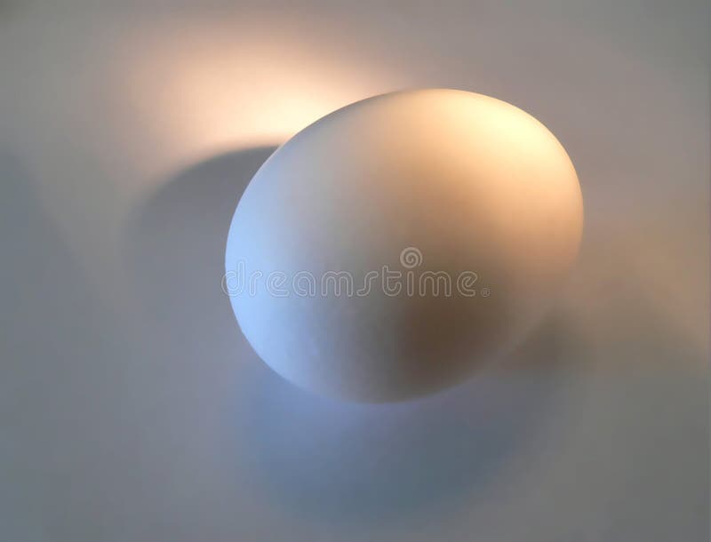 Good Egg stock photo. Image of single, birth, alone, fresh - 155978
