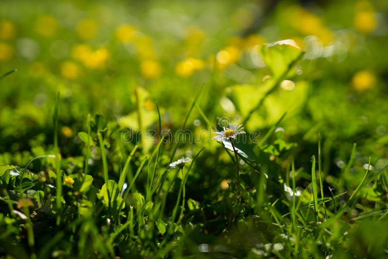 Good Morning Windy Cold Stock Photos - Free & Royalty-Free Stock Photos ...