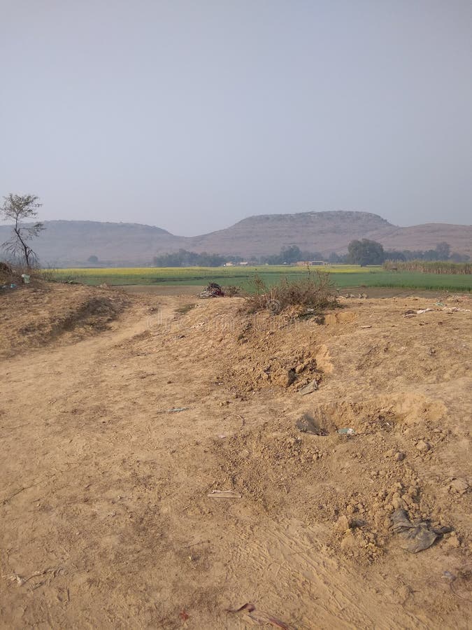 A Good Feild Seen of India a Heel Stock Image - Image of good, feild ...