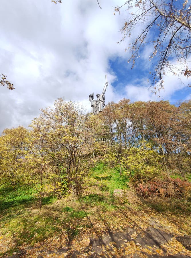 Good Forest in Metropolitan Stock Image - Image of leaf, plant: 233012245