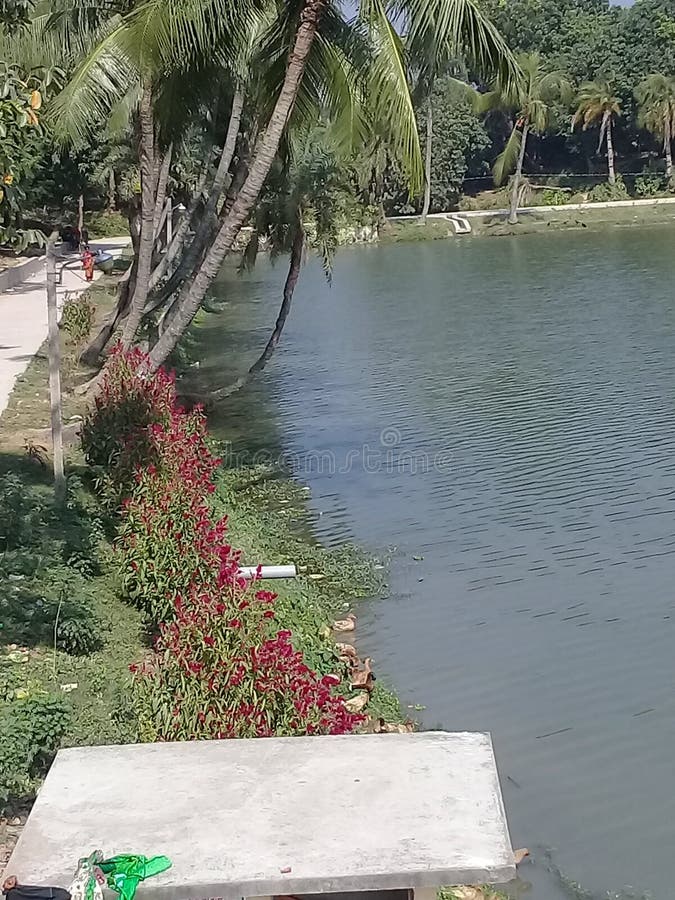 Good stock image. Image of gooooood, goood, gooood, gooh - 133415047