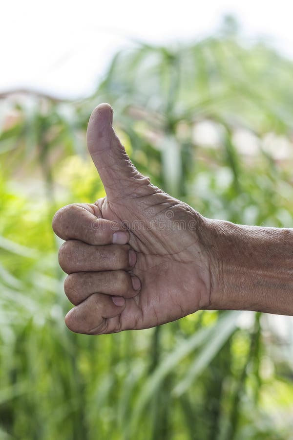 Good Hand gesture stock image. Image of okay, winner - 49131467