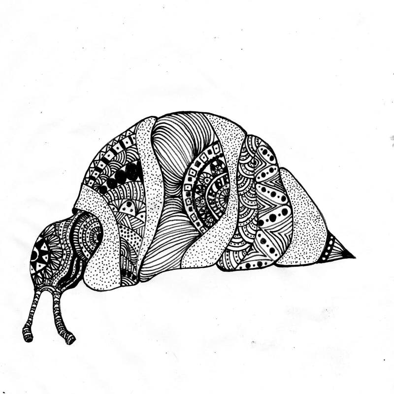 Good Handrawing Picture of Snail. Stock Illustration - Illustration of ...