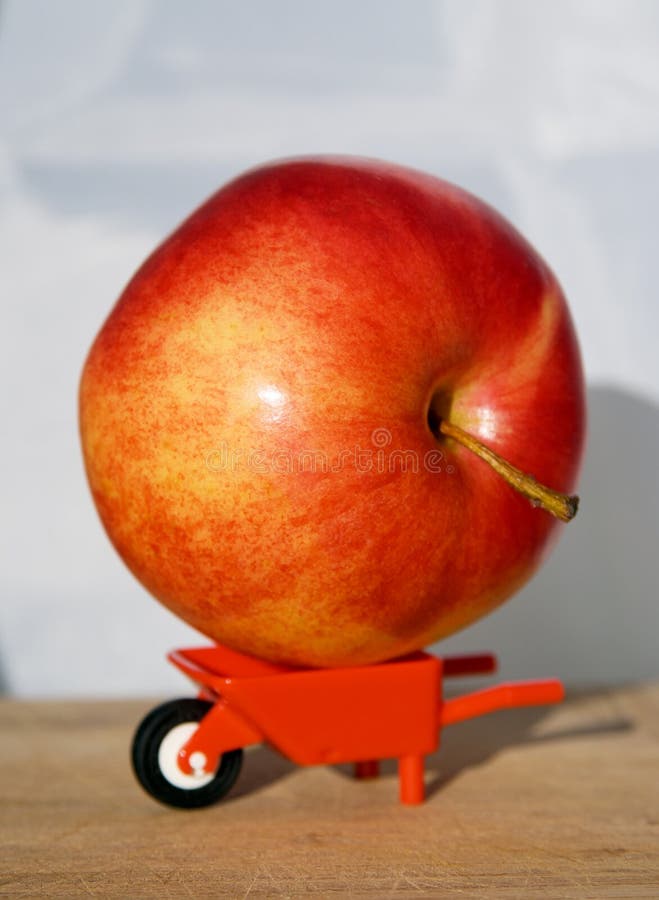 Good harvest stock image. Image of gardens, color, organic - 38236079