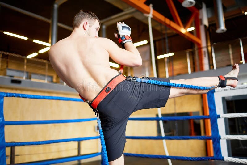 Good kick stock photo. Image of mixfight, cagefighting - 93203936