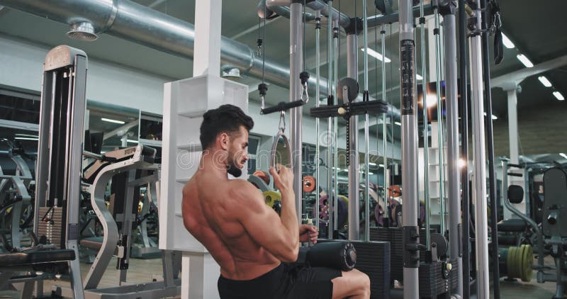 Good Looking Man Lifting Up the Weights at Gym for His Biceps and ...