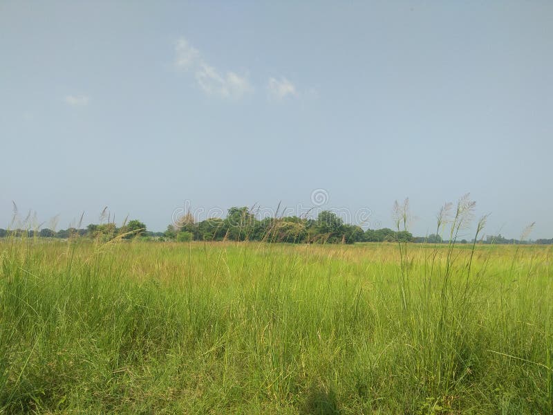 Nature stock photo. Image of good, looking, natural - 126154502