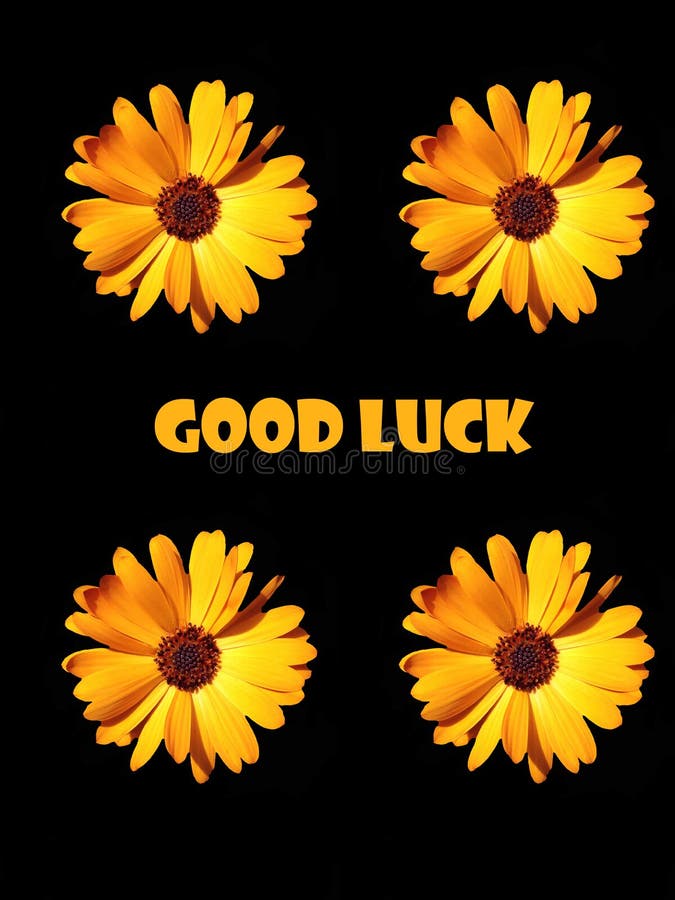 Good luck stock illustration. Illustration of colourfull - 77129342