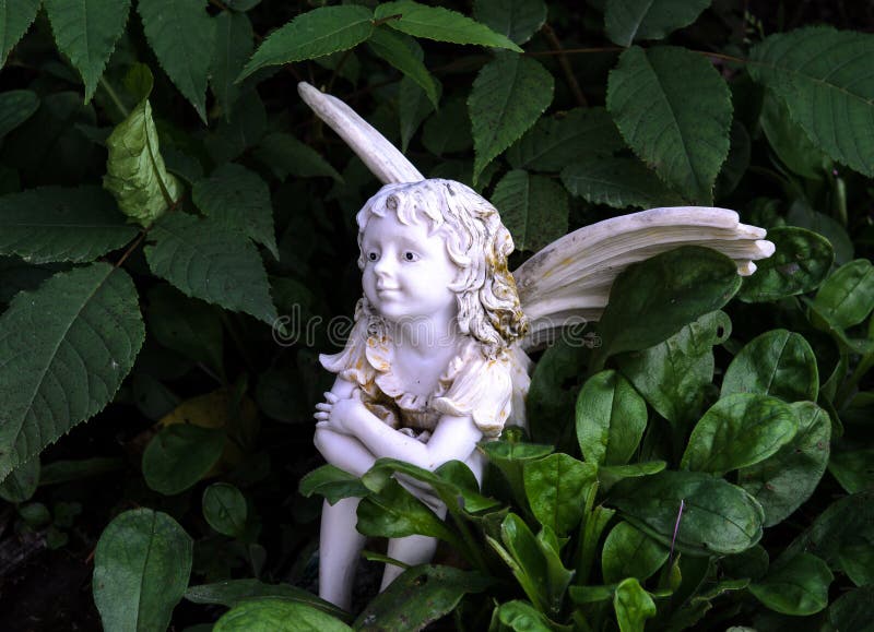 Good luck fairy stock photo. Image of flying, imagination - 60644208