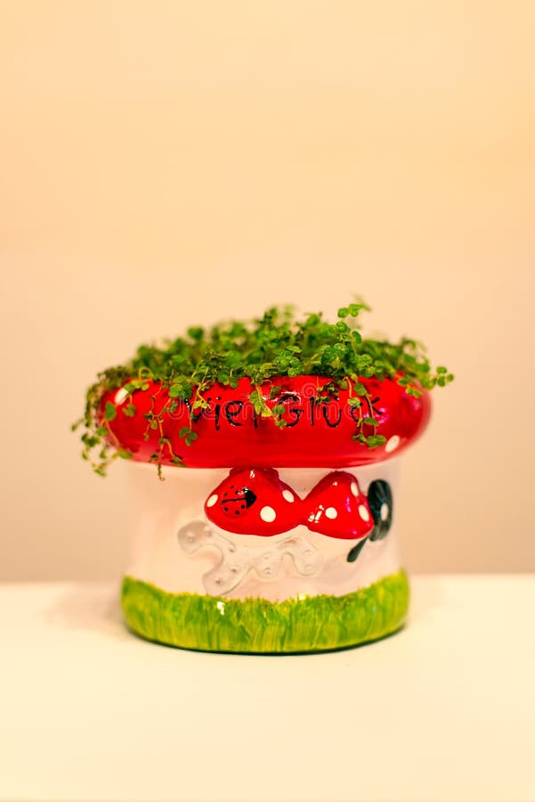 Good luck flower pot stock image. Image of idea, concept - 84553545