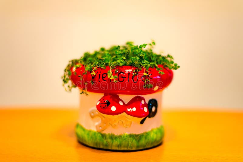 Good luck flower pot stock image. Image of idea, concept - 84553545