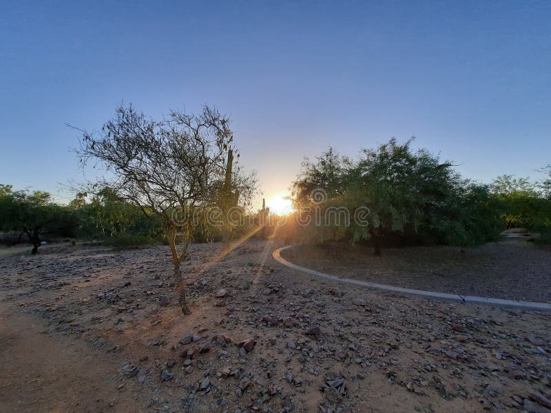 Good morning AZ stock photo. Image of autumn, grass - 190831006