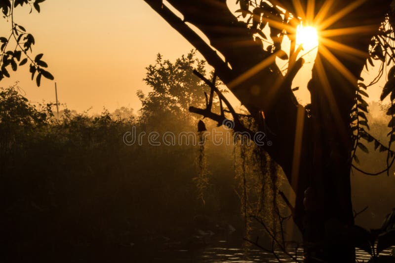 Good morning bright. stock photo. Image of homestay, looking - 82774298