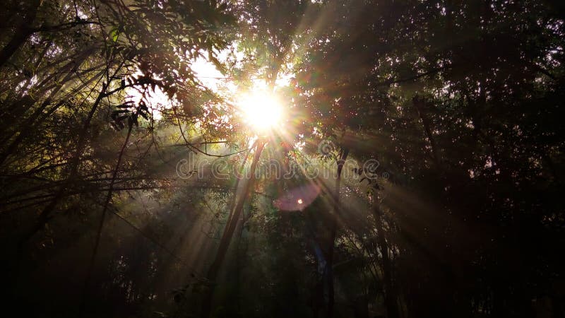 Good Morning, Cool Morning, Stock Image - Image of cool, poses: 132828439