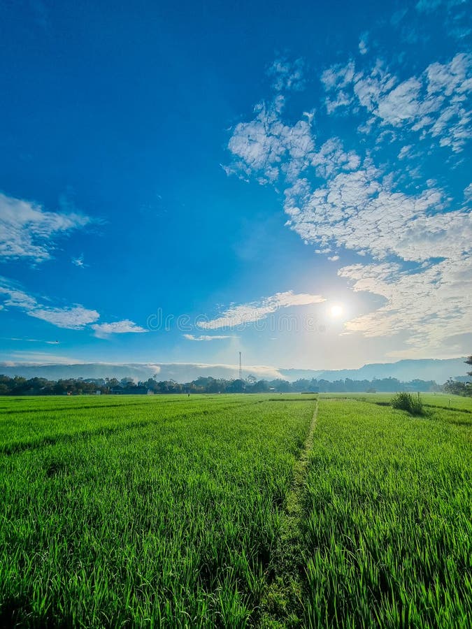 Good morning everybody stock image. Image of risen, everybody - 313621437