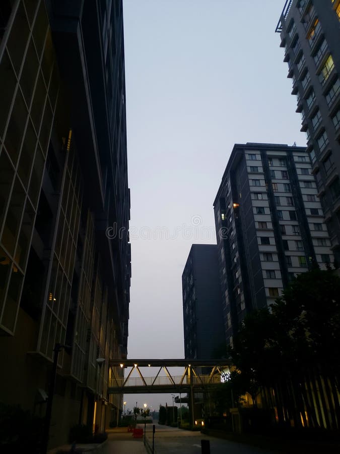 Good morning everyone stock photo. Image of reflection - 253302850