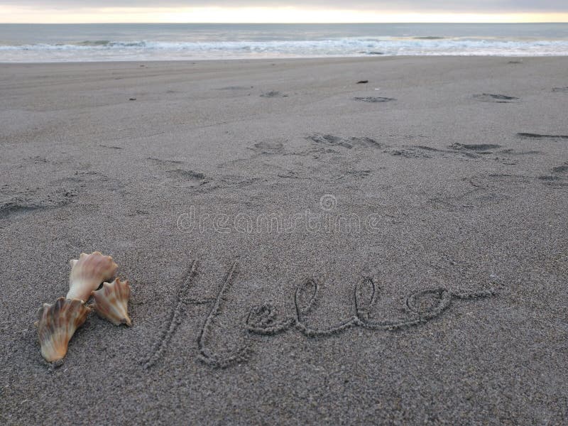 Good Morning Florida Sunrise Shells Ocean Sand Stock Image - Image of ...