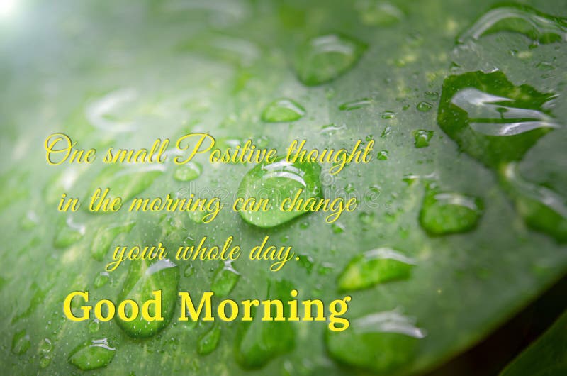 Good Morning Message on Positive Thought Text with Leaf with Perfectly ...