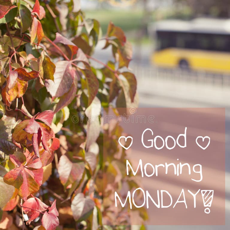 2,989 Happy Monday Morning Stock Photos - Free & Royalty-Free Stock ...