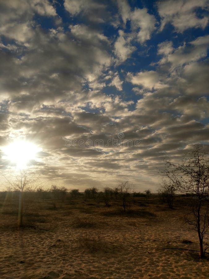 Good morning stock photo. Image of morning, good, times - 137771070