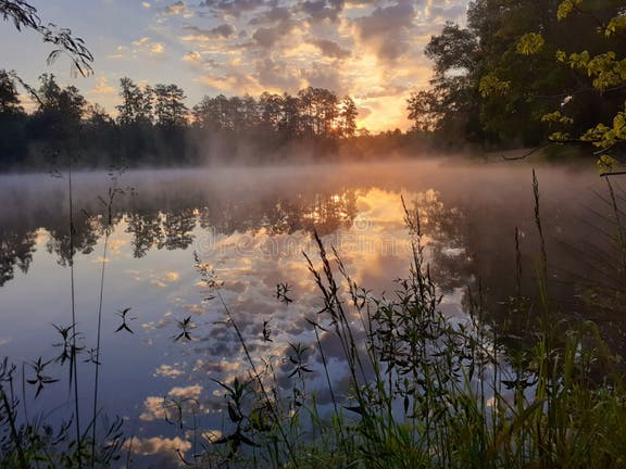 651 November Good Morning Stock Photos - Free & Royalty-Free Stock ...