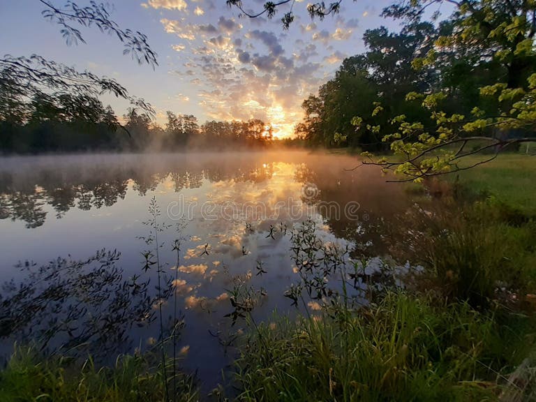 651 November Good Morning Stock Photos - Free & Royalty-Free Stock ...