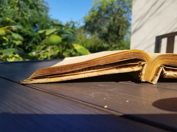 A Good Morning Read stock photo. Image of good, session - 123496088