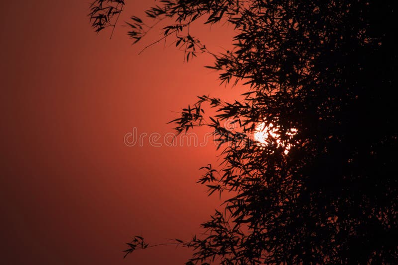 Good morning stock image. Image of sunrise, night, autumn - 100793979