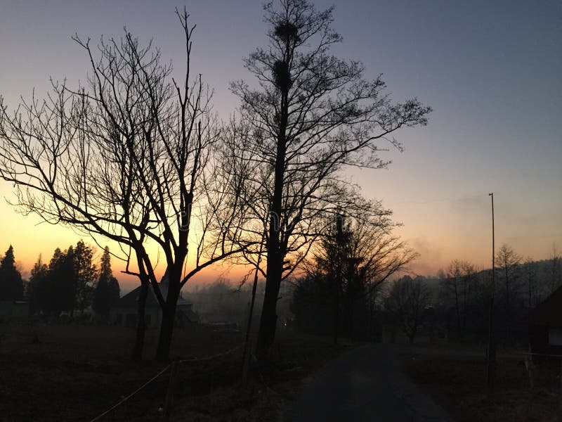 Good morning stock image. Image of sunrises, morning - 84080311