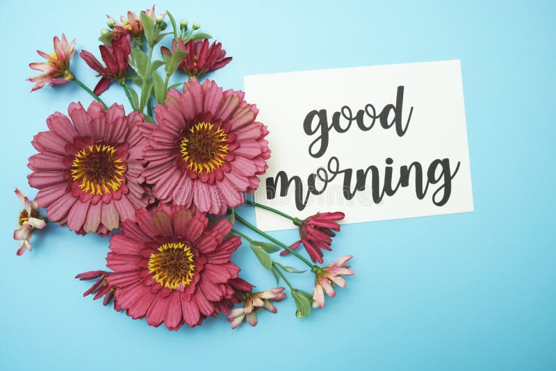 Good Morning Typography Text with Daisy Flowers on Blue Background ...