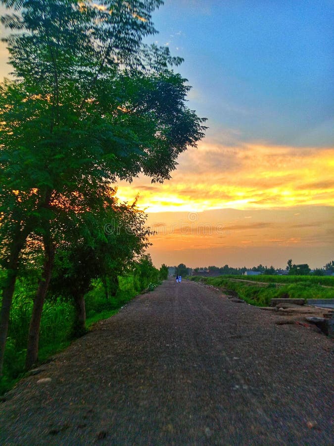 Good morning view stock image. Image of sunsets, trees - 253991227