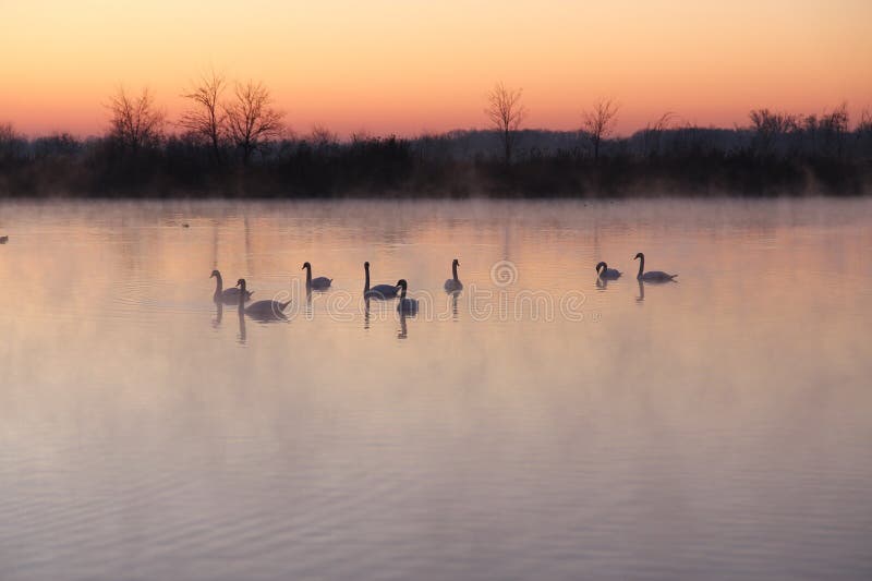 Good morning, winter stock image. Image of nature, reflection - 26984237