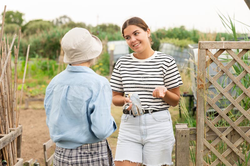 Good Neighbors Talking in the Backyard of House Stock Image - Image of ...