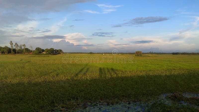 Good after noon stock photo. Image of noon, good, cool - 120056996