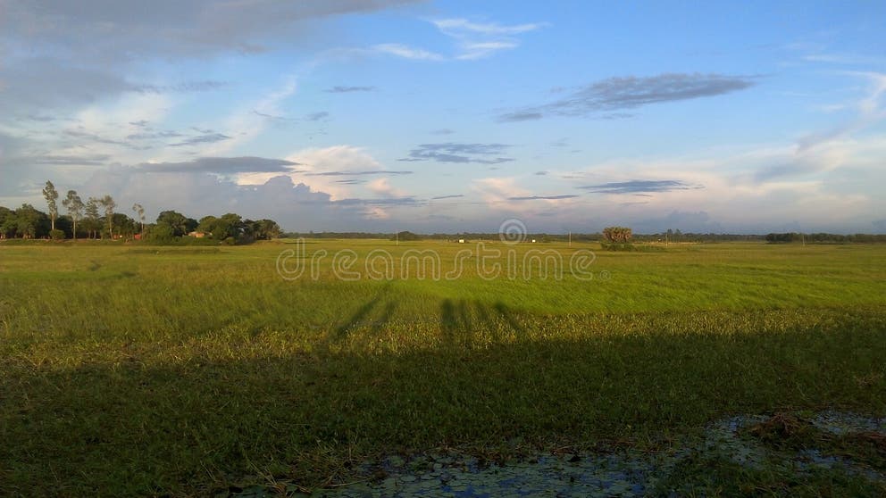 Good after noon stock photo. Image of noon, good, cool - 120056996