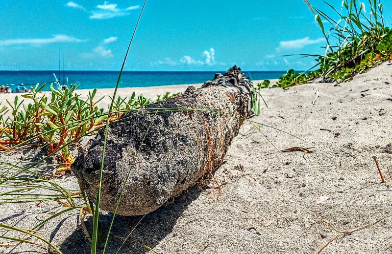 A good place to rest stock image. Image of ocean, sand - 255040867