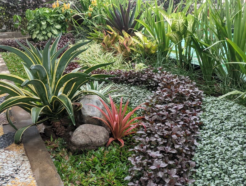A Good Planting Layout Makes the Atmosphere Beautiful and Pleasing To ...