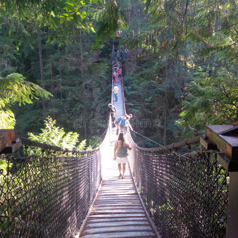 A Bridge Across Capilano River Editorial Image - Image of river, water ...