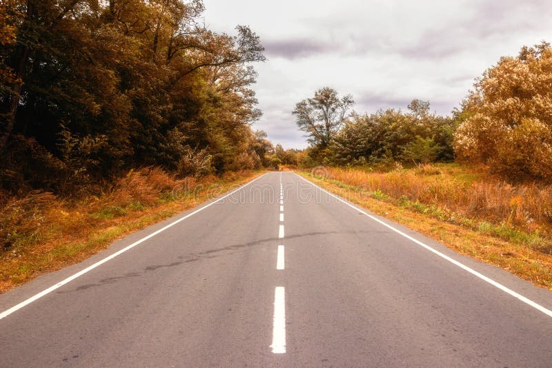 A Good Road Leading To the Pond. Stock Image - Image of leads ...