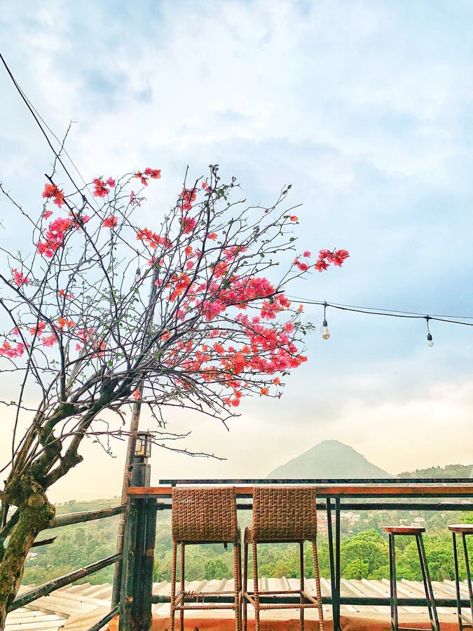 A Good Scenery at the Restaurant Stock Photo - Image of mountain ...