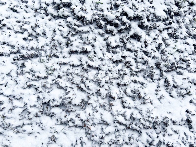 A Good Snow Texture. Good for Any Project. Stock Photo - Image of ...