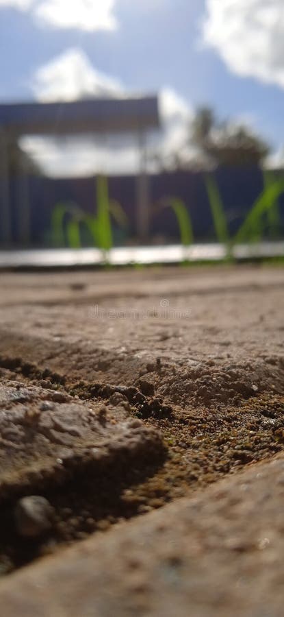 Good soil texture stock photo. Image of sand, flower - 259023908