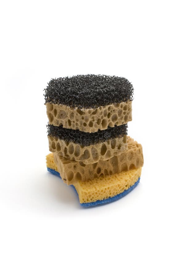 751 Smooth Rough Sponge Stock Photos - Free & Royalty-Free Stock Photos ...