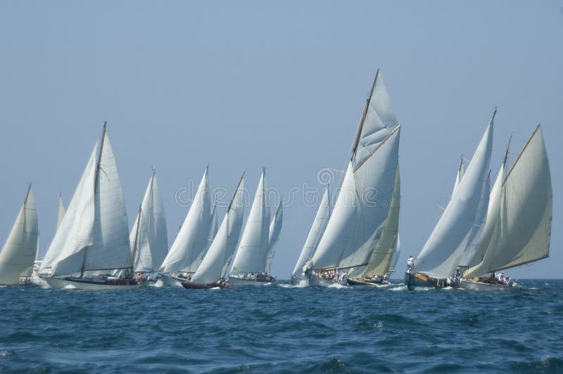 A good start stock image. Image of summer, sailing, wind - 16872423
