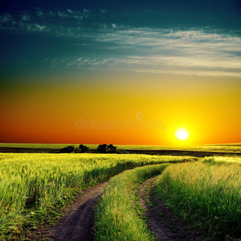 Good Sunset and Road in Green Field Stock Image - Image of outdoor ...