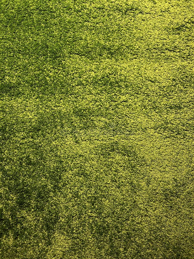 Grass, Lawn Top View. Texture Stock Photo - Image of lawns, view: 103463760