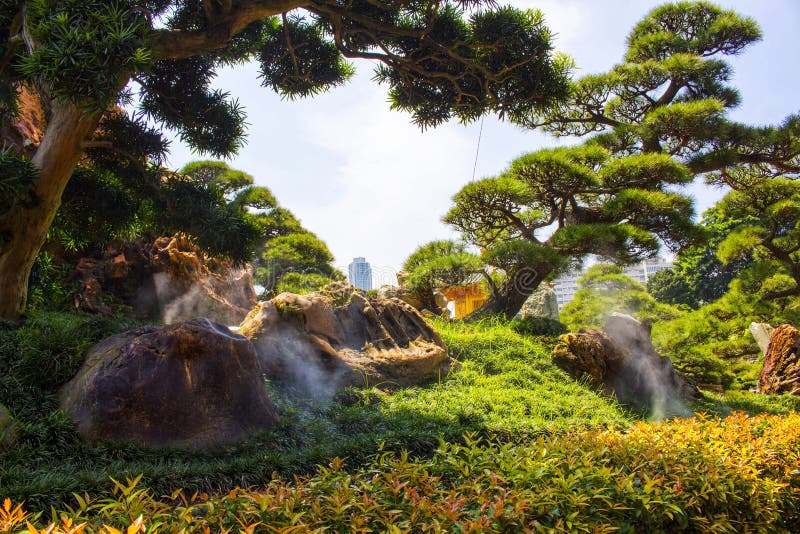 Good Tree in My Beautiful Garden Stock Image - Image of garden, good ...