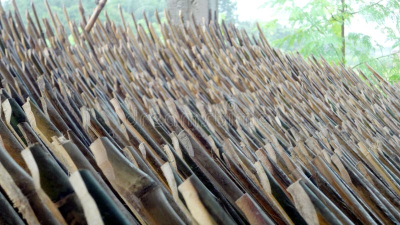 A good Understanding! stock image. Image of protector - 76690877